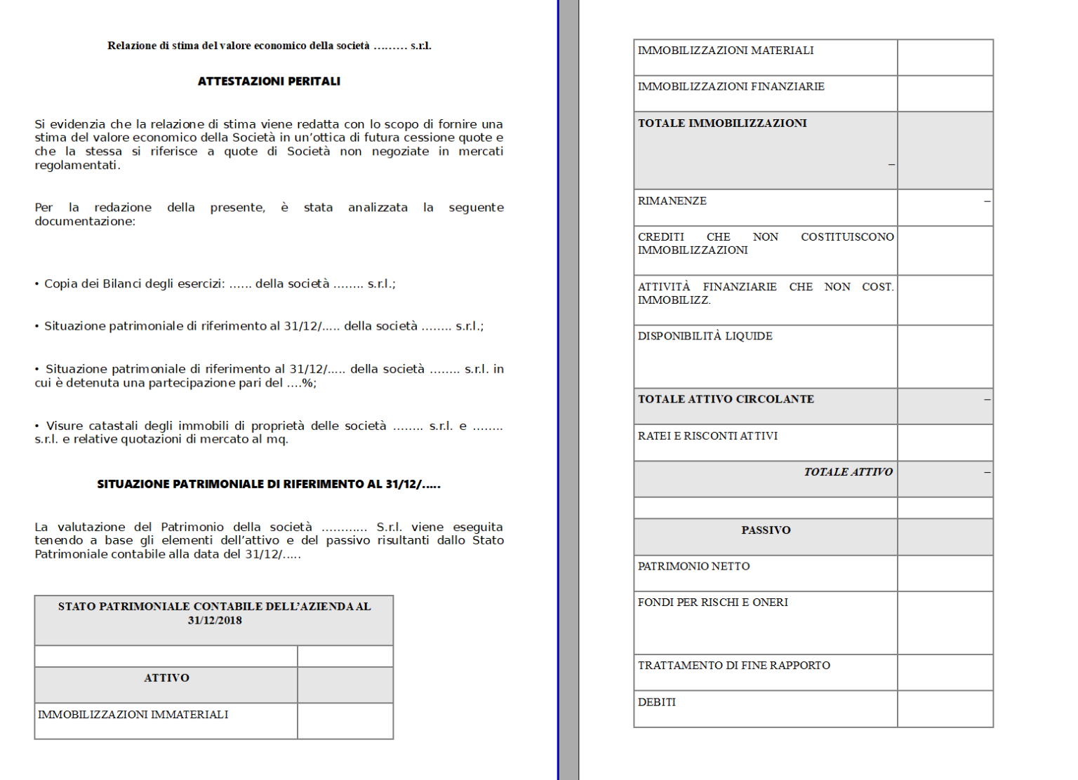 Perizia di Valutazione Azienda - Fac Simile Word e PDF e Guida alla ...